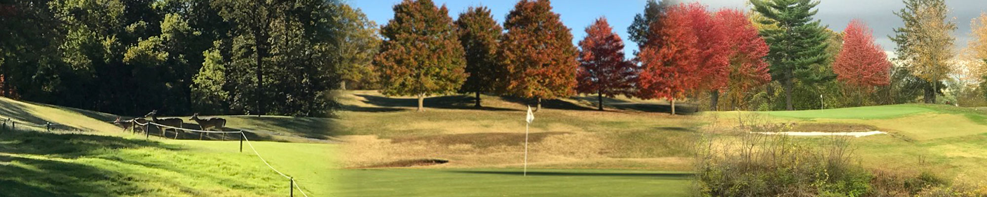 Scorecard - Oak Valley Golf Course and Resort